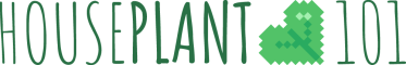 Houseplant101 Forum
